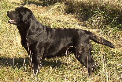 Gone, but Not Forgotten